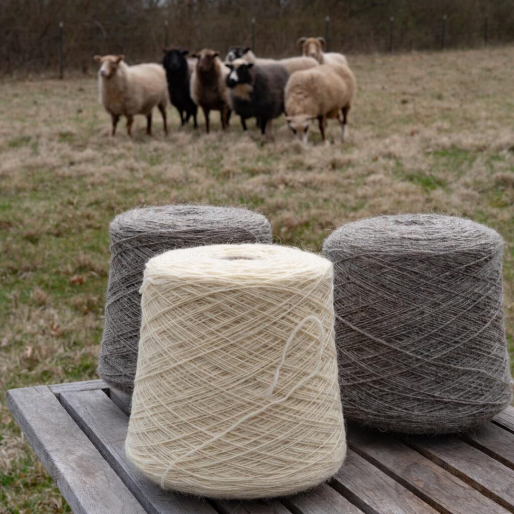 Dancing Waters Farm aka Mostly Mohair - Living with chickens, goats ...
